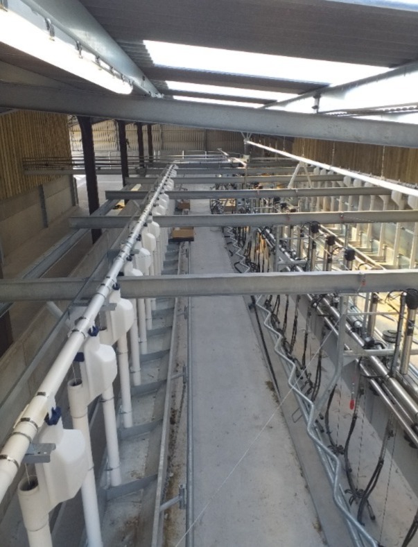 F4 Feeder | Collinson